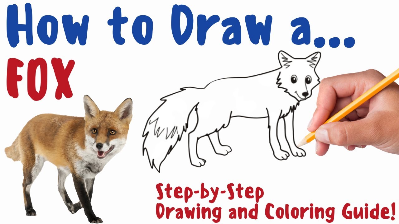 How To Draw A Fox - Fun & Easy Step-by-Step Drawing and Coloring Guide ...
