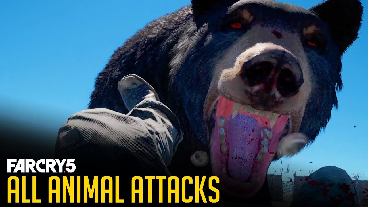 Far Cry 5 - All ANIMAL ATTACK Animations [1080p 60FPS] Bear, Cougar ...