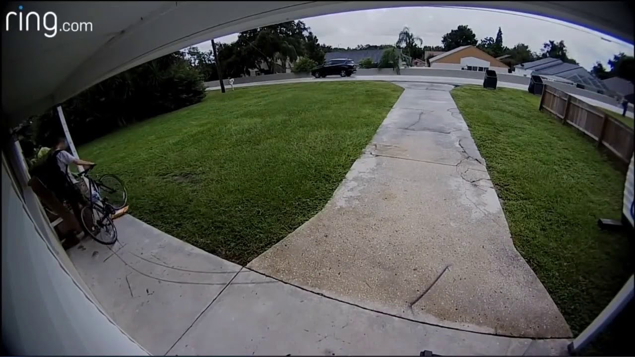 Criminals Caught by Ring Owners Part 2 (Caught on Camera) - YouTube