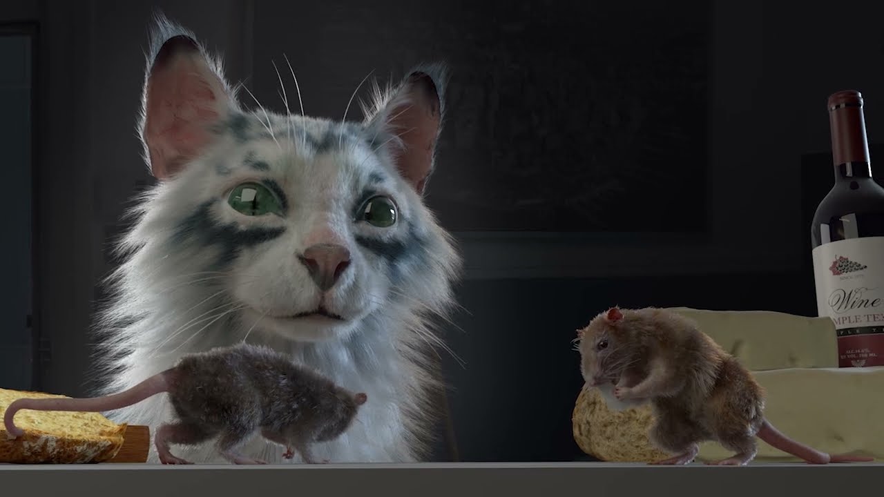 Cat and rat grooming with Yeti - YouTube