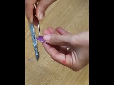 preparaat maken rode ui - YouTube