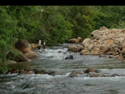 My Visit to Kadayam - YouTube