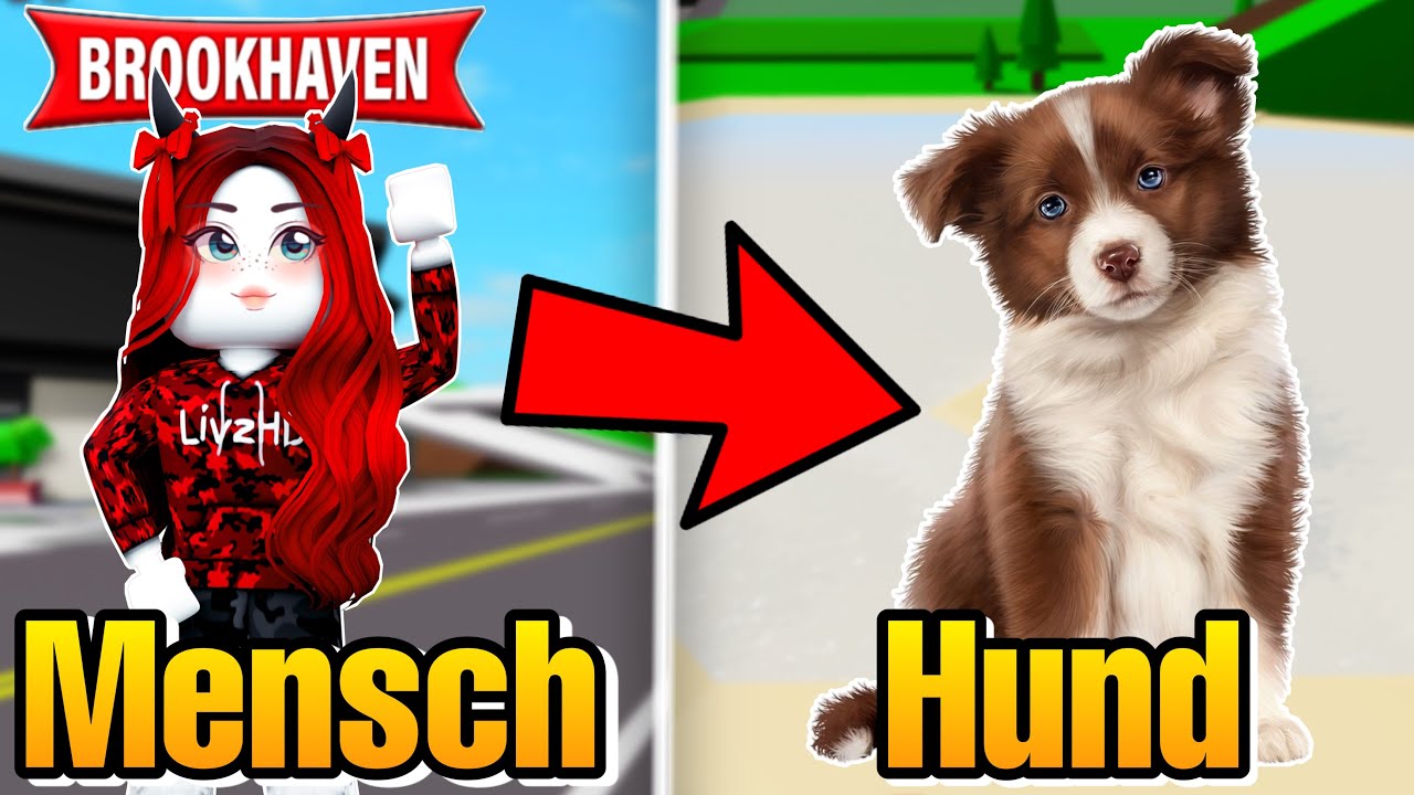 Von MENSCH zu HUND *NIEDLICH* | Brookhaven Story Roblox Deutsch - YouTube