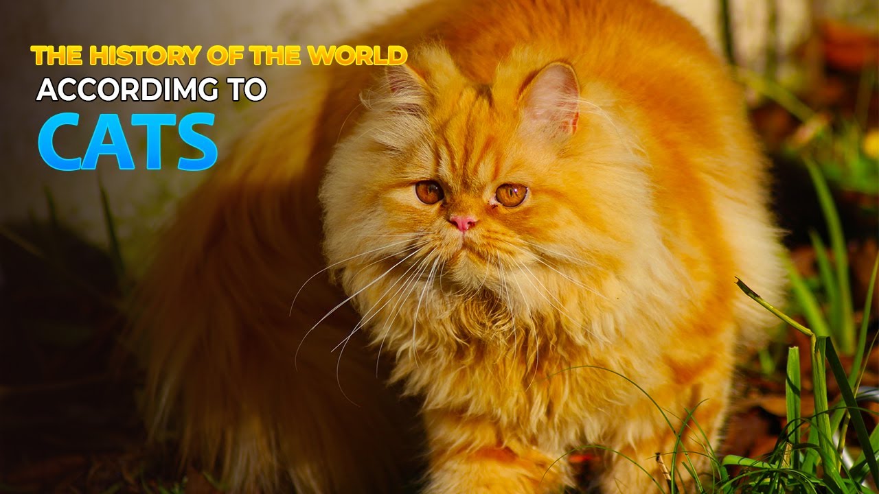 The Cat's Role in Mythology and Legends @CatMeditation - YouTube