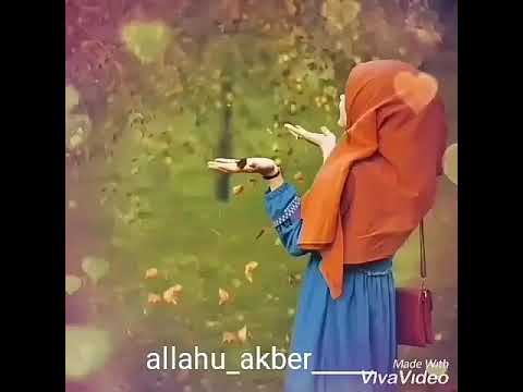 Sabahnız xeyrl mənim əzizlərim🌹
