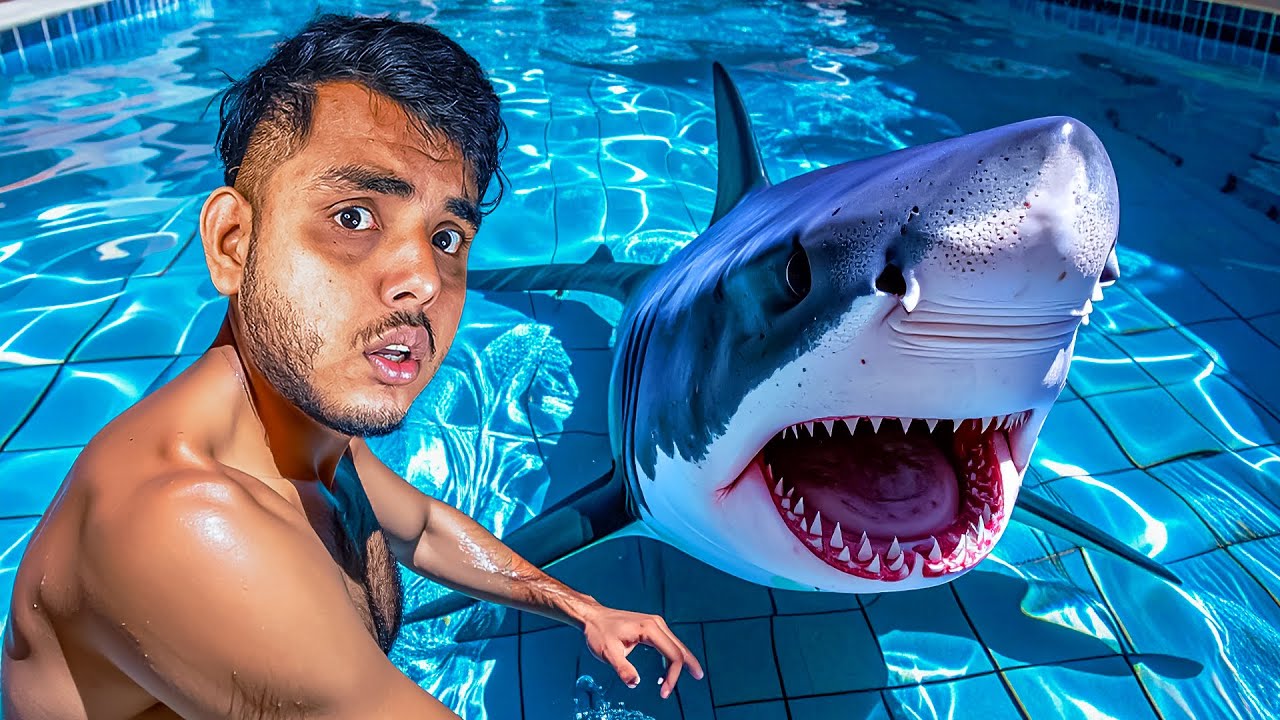 What Happens When You're Trapped With SHARKS in a Pool? - YouTube
