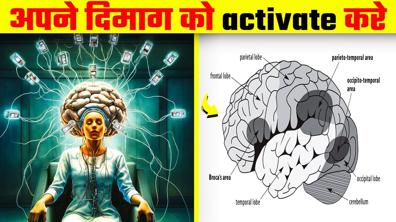 Secrets to Activate Your Brain: Hindi Book Summary - YouTube