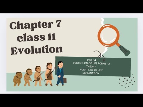 Evolution of life forms -a theory NCERT LINE BY LINE EXPLANATION - YouTube