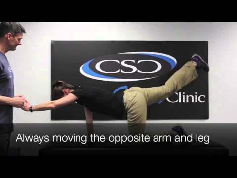 McGill Big 3 Low Back Exercises, Sports Chiropractic - YouTube