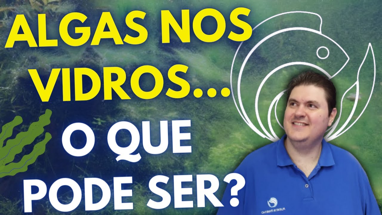 ALGAS NOS VIDROS... O QUE PODE SER? - YouTube