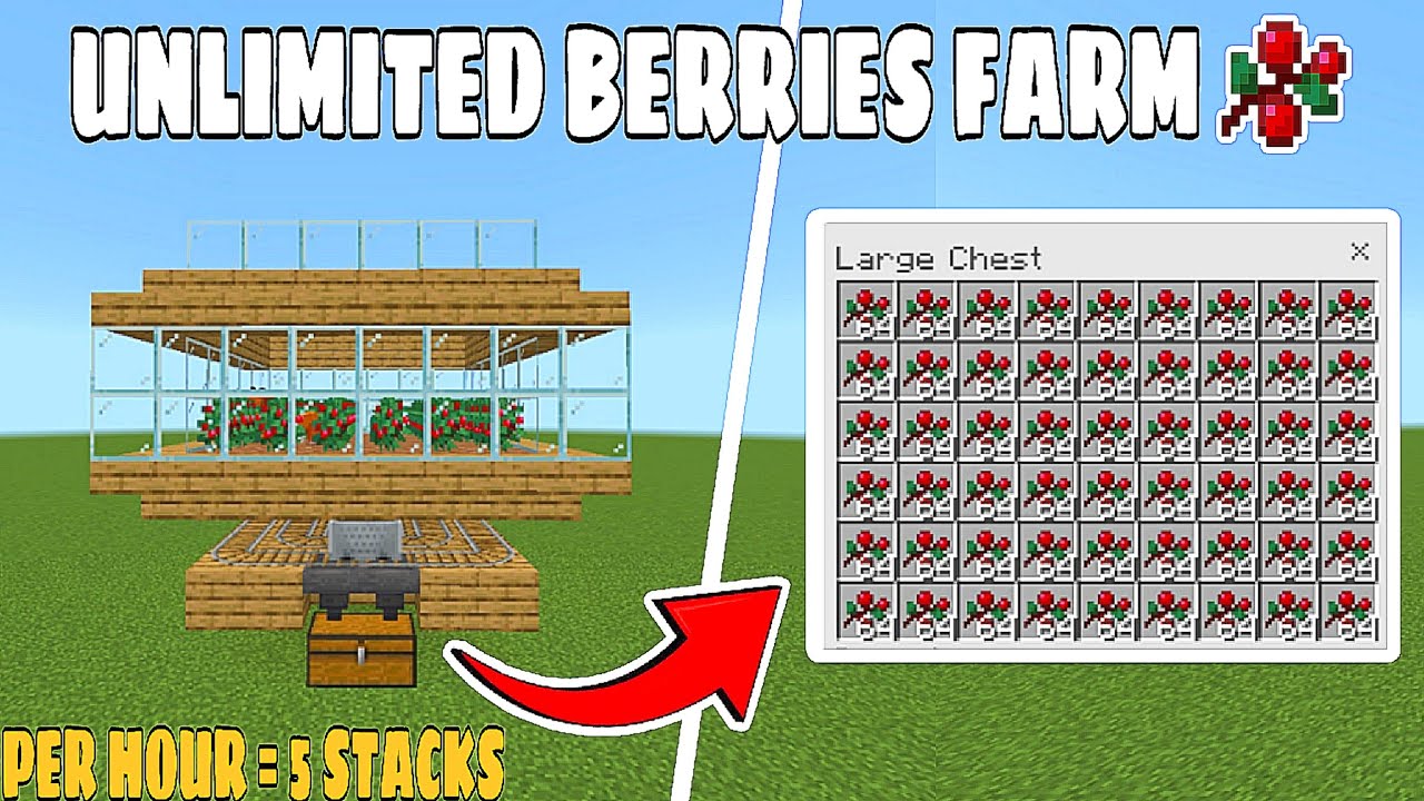 How To Make An Easiest Automatic Berries Farm in Minecraft! 😱😃 - YouTube