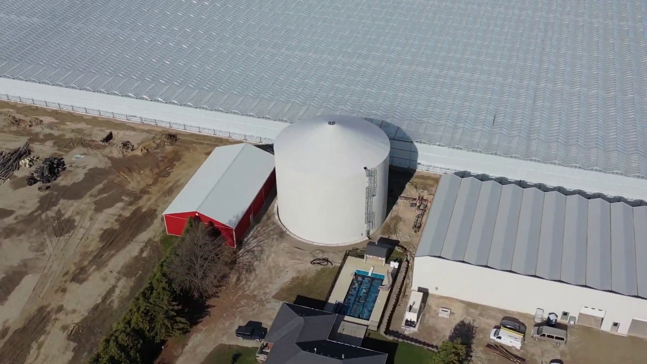 Heritage Farms in Leamington - Canada - YouTube