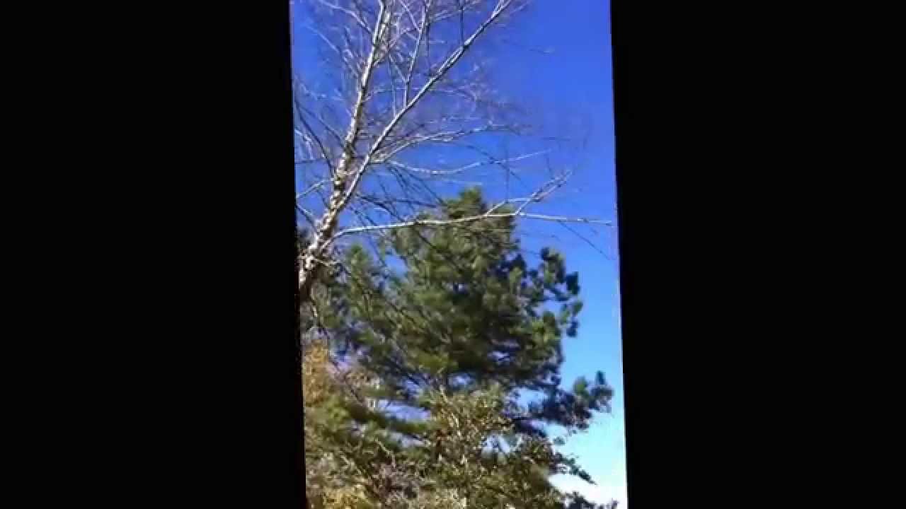 Geronimo at wild adventures in Valdosta, Georgia - YouTube