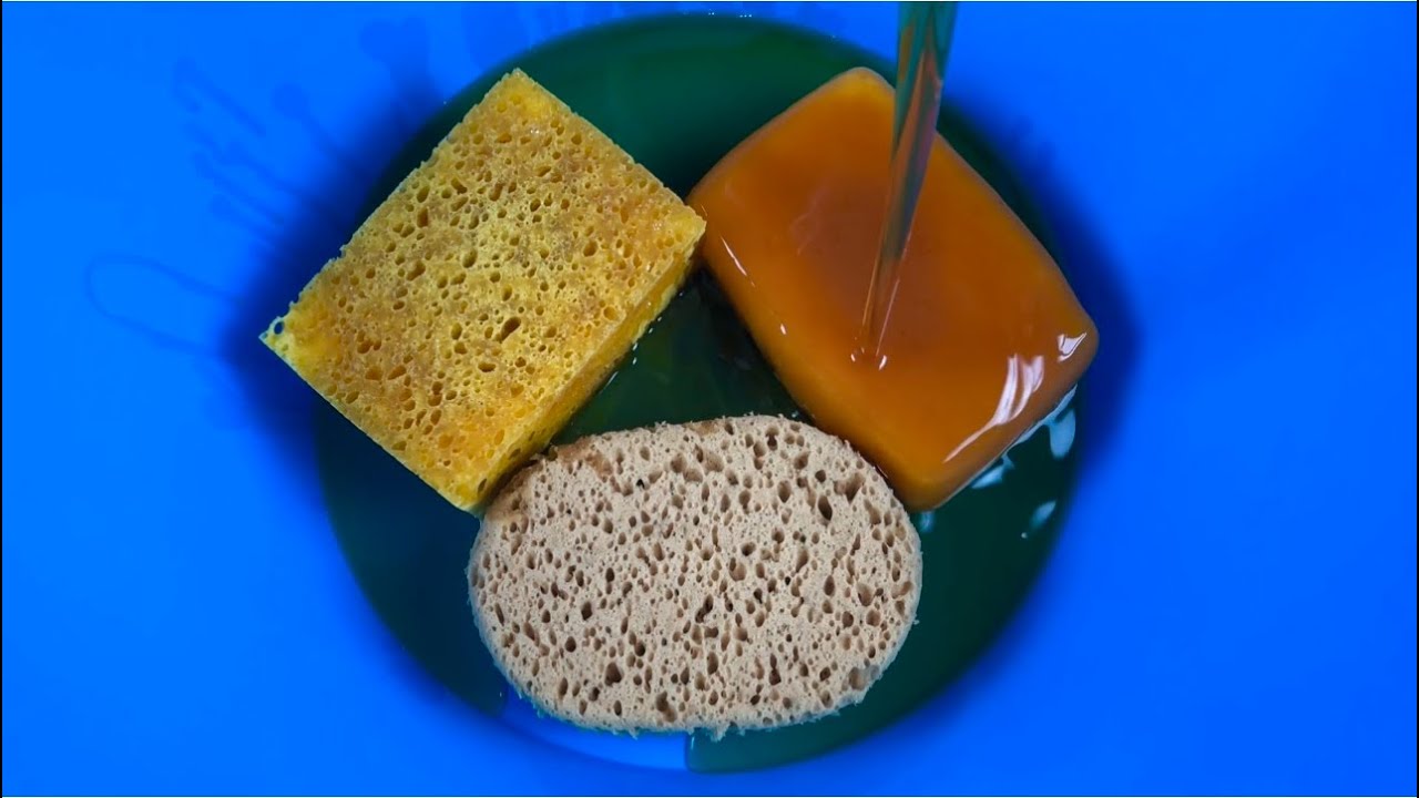 Strong Pine Mix 🌲 ASMR SPONGE SQUEEZE 🤗 Ocean Pine & Crest O Pine ...