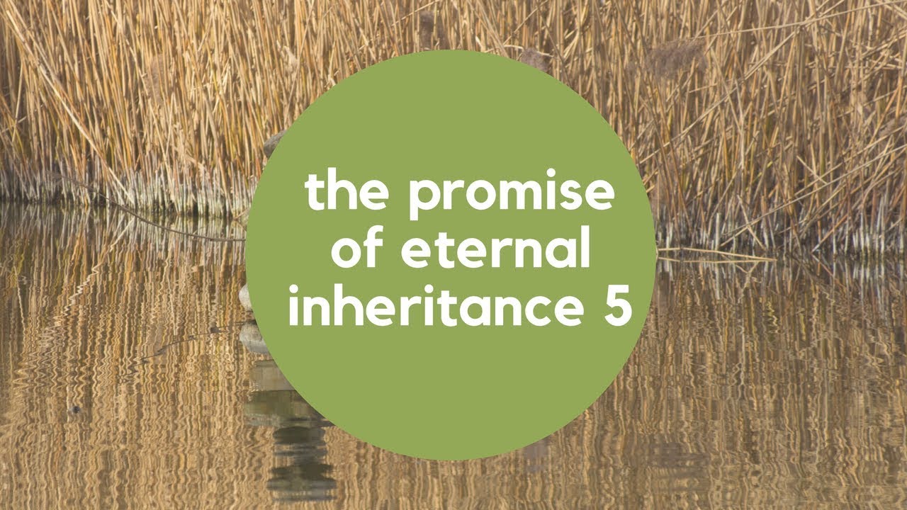 The Promise of Eternal Inheritance 5 - Francis Bisong - YouTube
