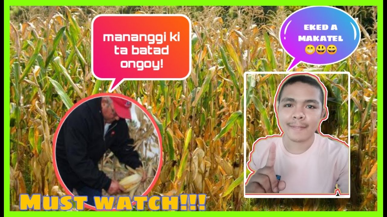 Manobo words Tutorial Part II - DAVAO OCCIDENTAL VERSION - YouTube