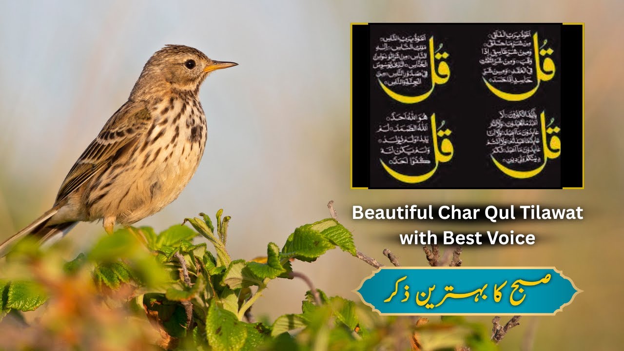 4 Qul Sharif Recitation || Beautiful Char Qul Tilawat with Best Voice ...