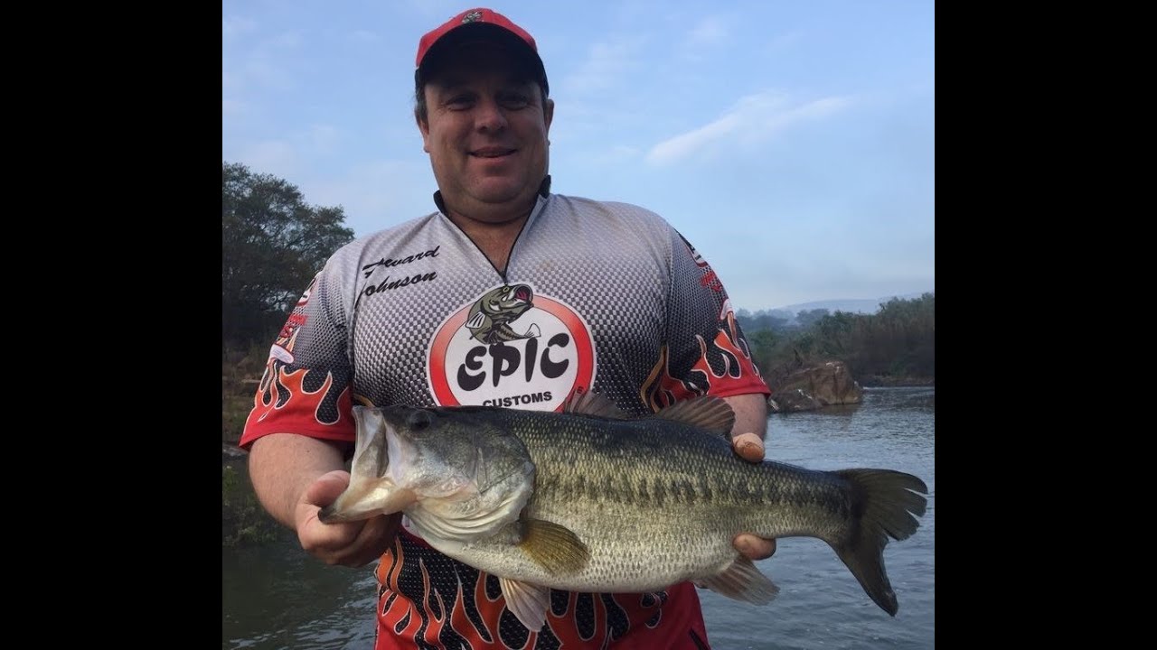 BASS FISHING BASICS - YouTube