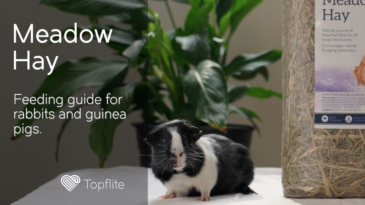 Meadow Hay For Rabbits and Guinea Pigs - YouTube