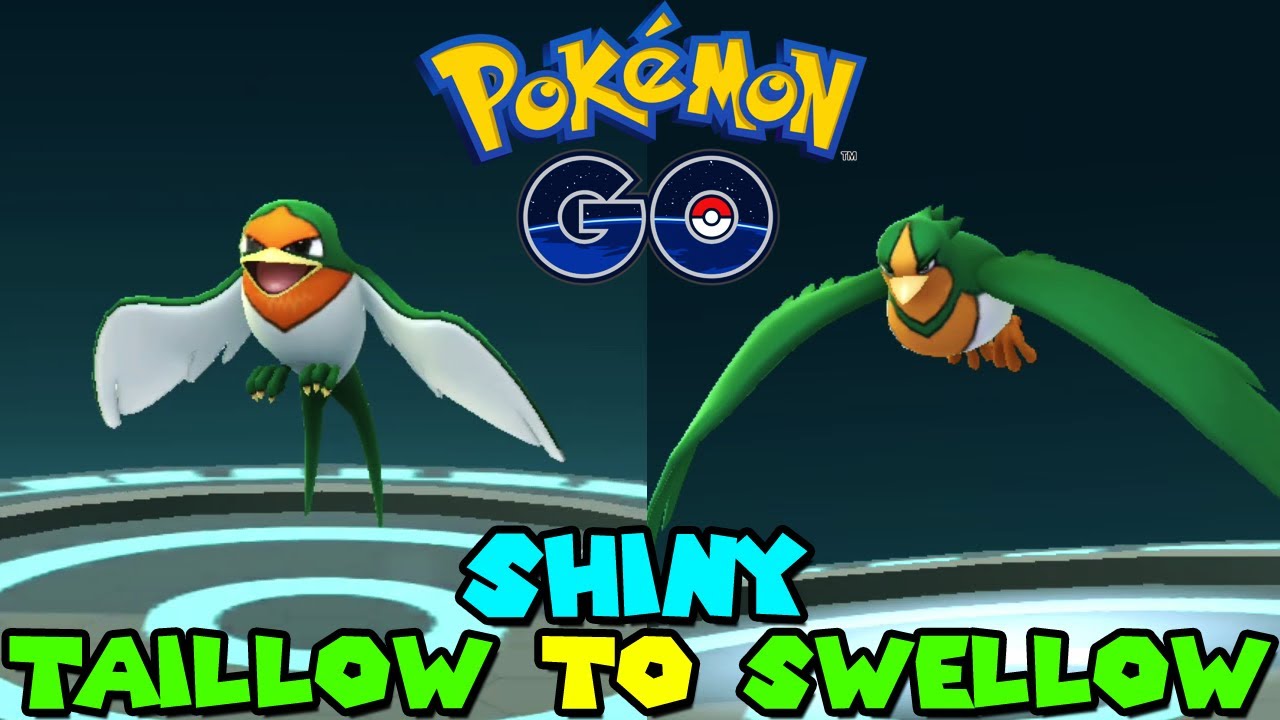 Evolving SHINY TAILLOW TO SHINY SWELLOW IN POKEMON GO - YouTube