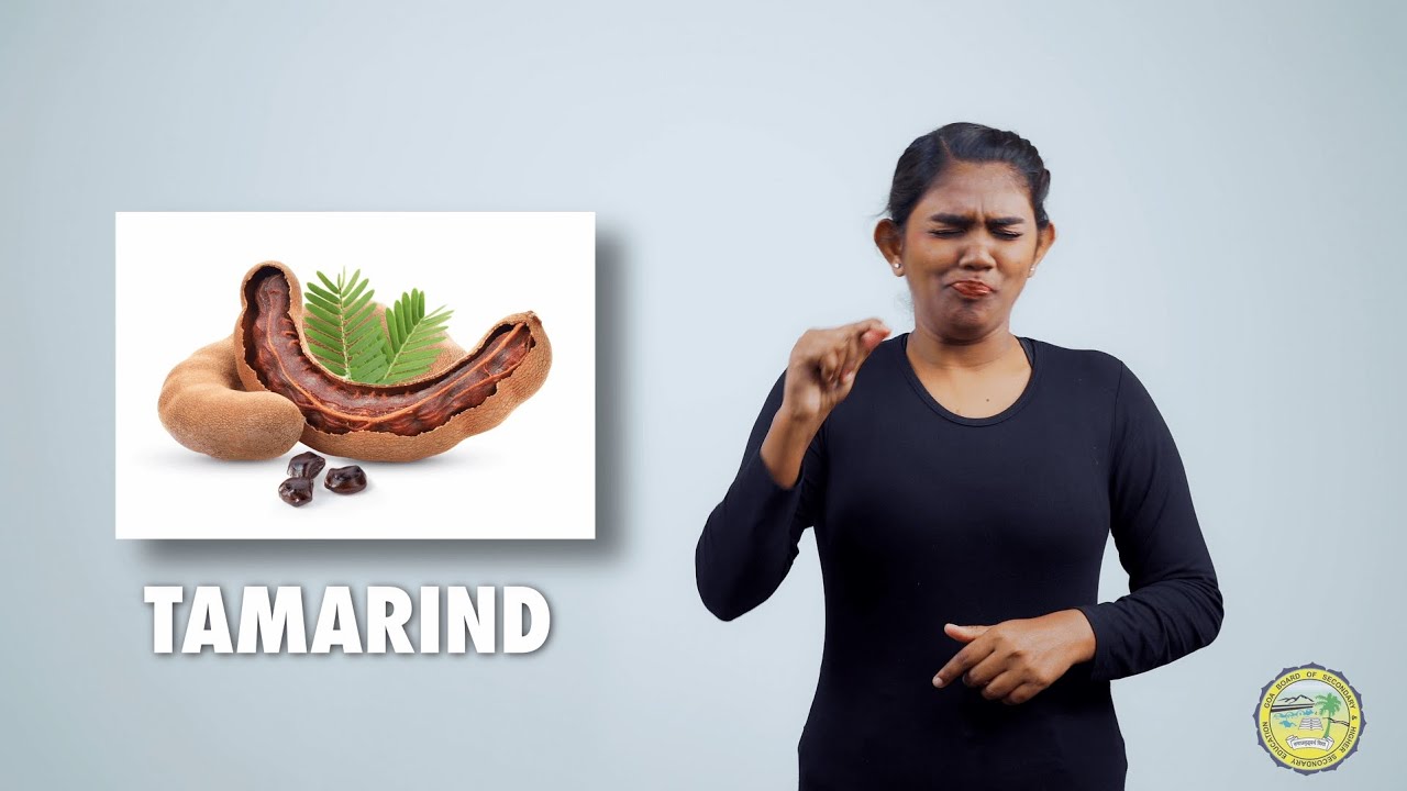 Tamarind | Indian Sign Language - YouTube