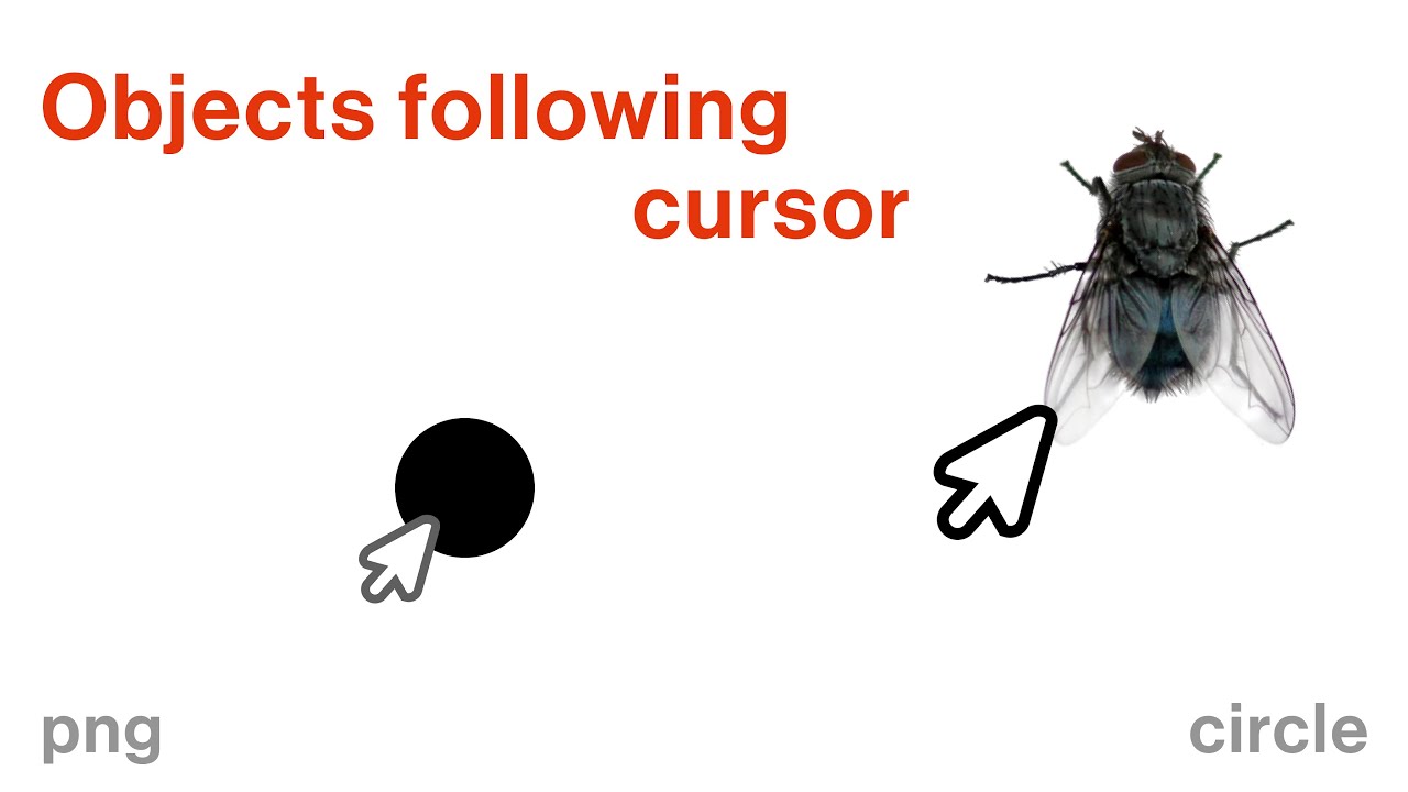 Circle and Fly following cursor (custom cursor animation for Cargo ...