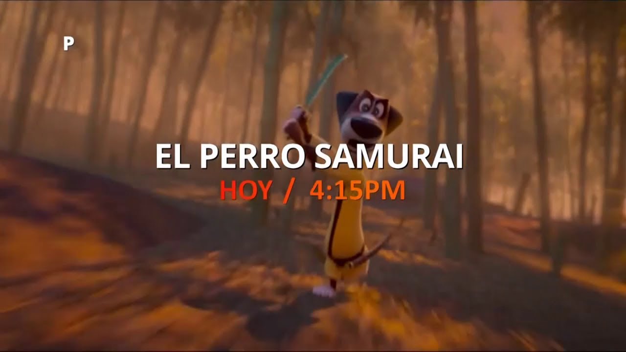 El Perro Samurái | Promo @TeleamazonasEcuadorOficial - YouTube