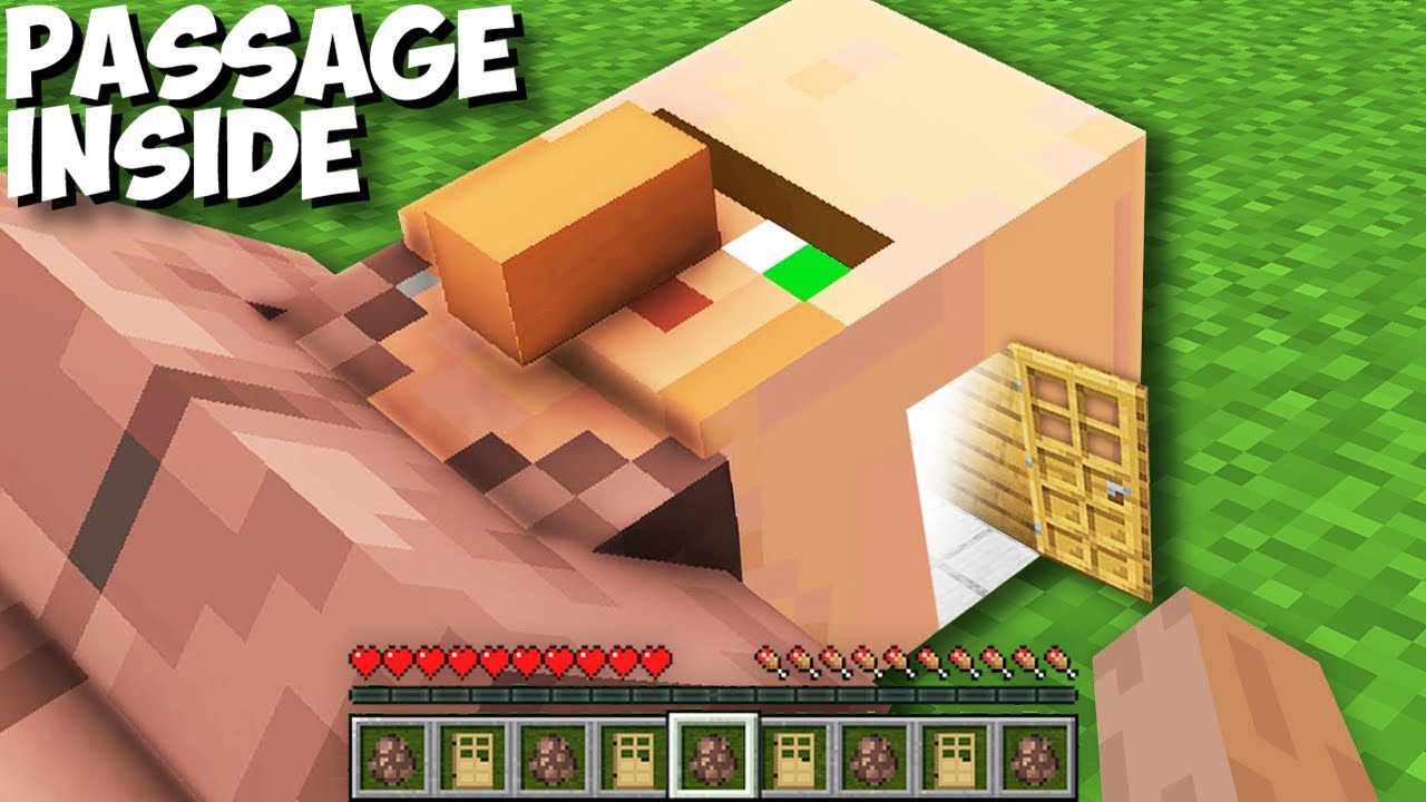 THIS is SUPER SECRET PASSAGE inside VILLAGER head in Minecraft ...