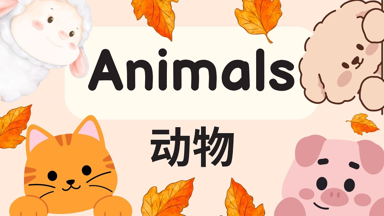 (Part 1) Learn 50 Animals in Chinese 🐼 动物的中文词汇 | Fun & Easy for Kids ...