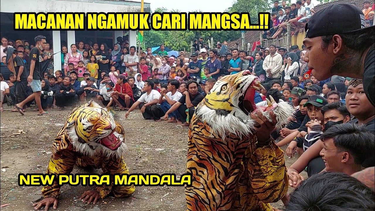 Macanan ngamuk Bantengan new putra mandala live ngrayung Puri mojokerto ...