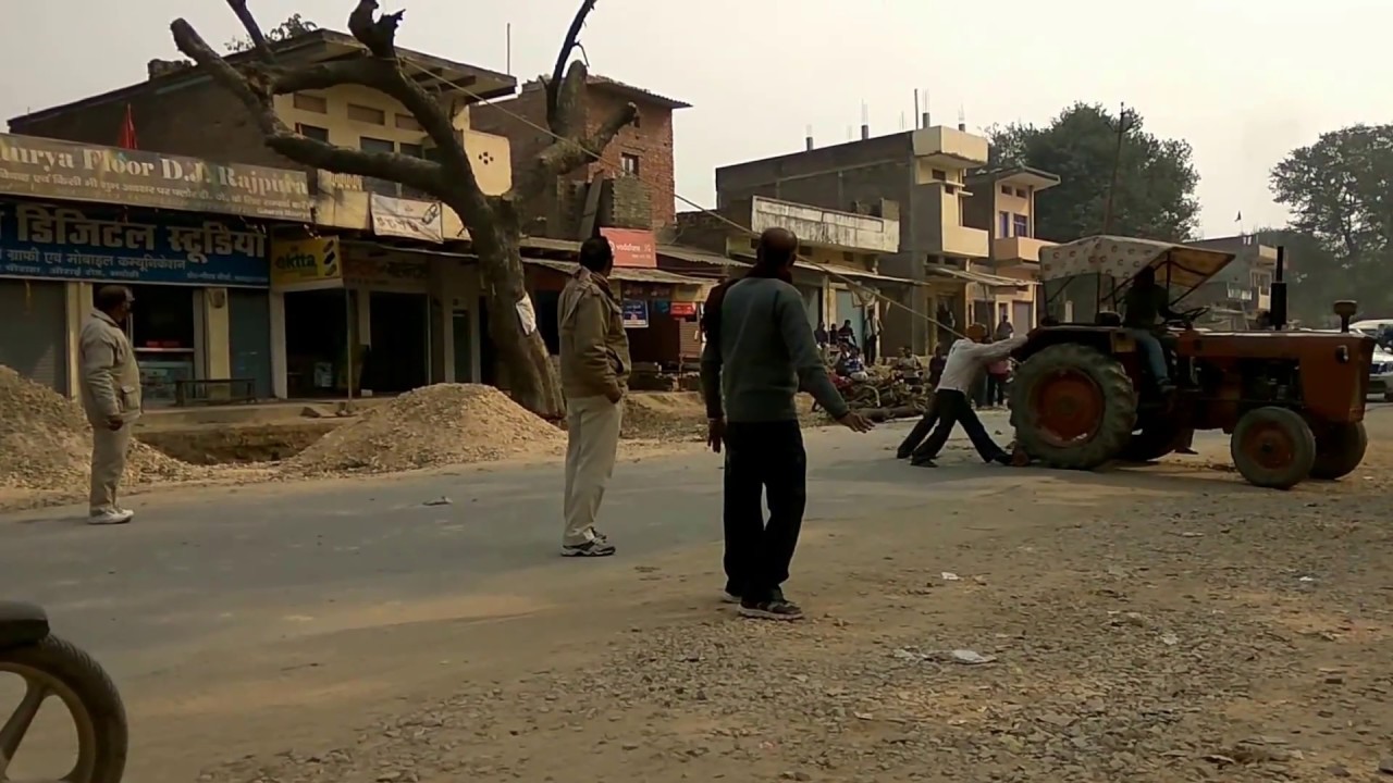 how to fell a tree in the direction you want - YouTube