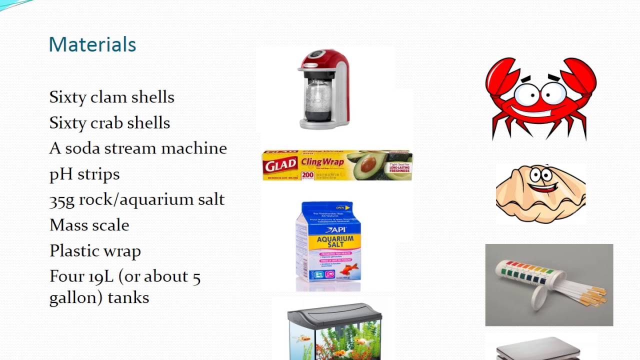 The Effects of Ocean Acidification on Clam and Crab shells mpeg4 - YouTube