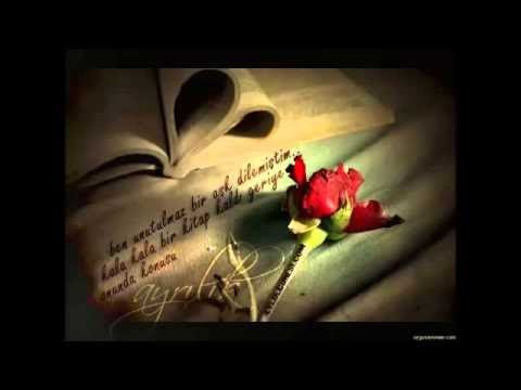 Halit Bilgiç   Birnabe 2013