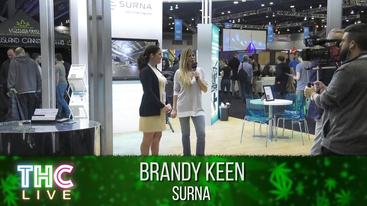 Lift Cannabis Expo | Brandy Keen - Surna Inc. - YouTube