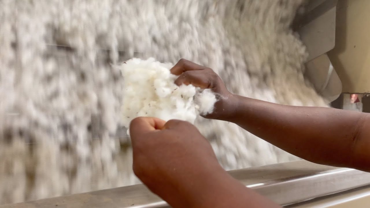 La transformation du coton au Bénin - YouTube
