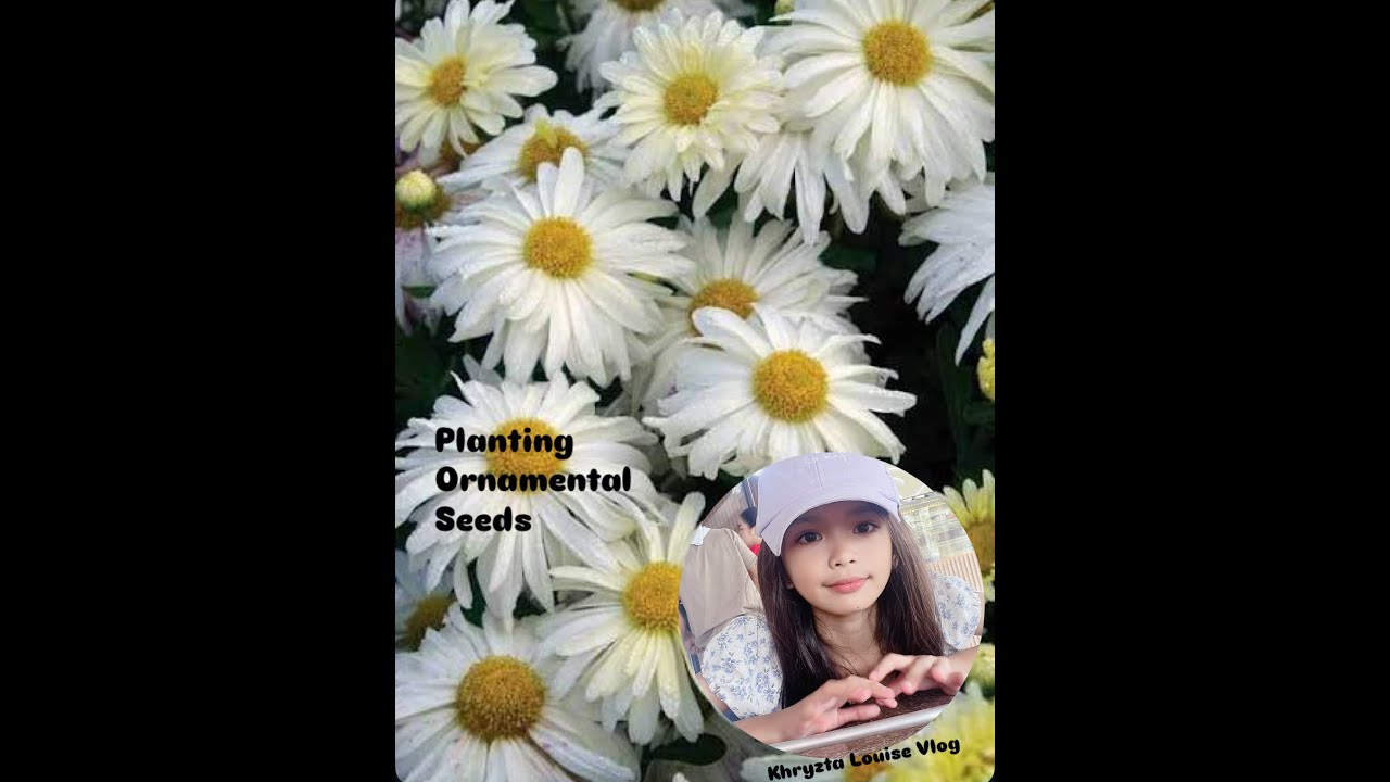 HELE_PLANTING ORNAMENTAL PLANT_KHRYZTA LOUISE ABISTADO - YouTube