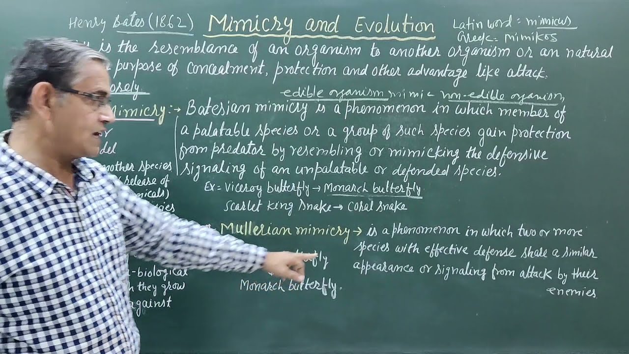 Mimicry and Evolution - YouTube