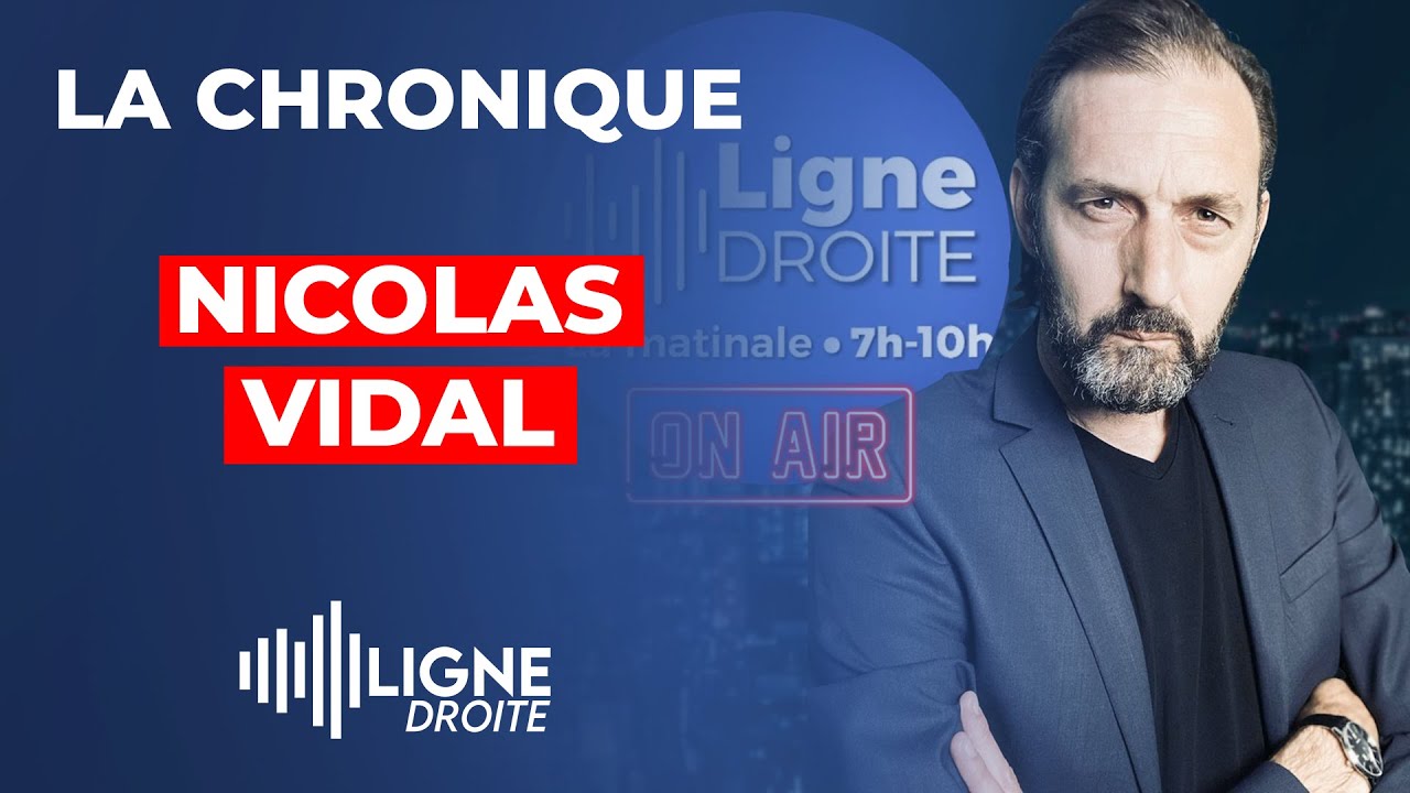 "Nous assistons à la chute d'un pouvoir qui a privatisé la France !" - Nicolas Vidal - YouTube
