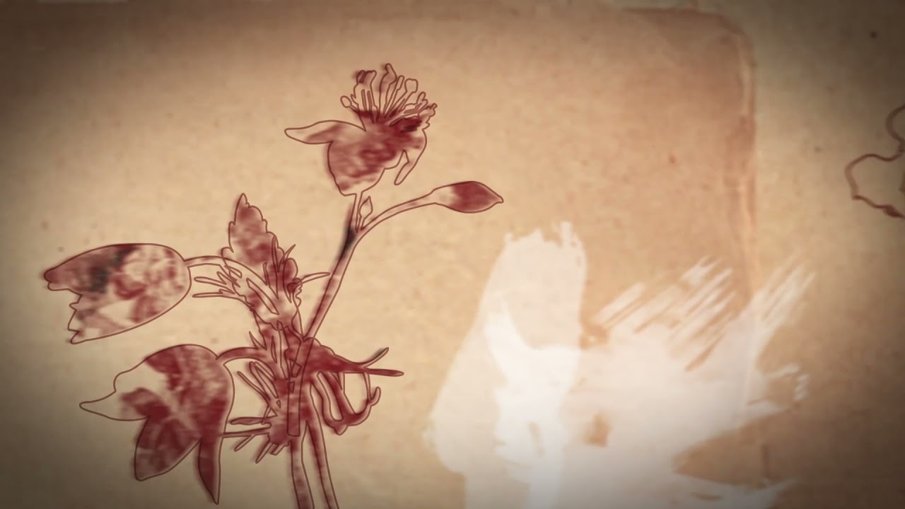 FREE Vintage Video Background | Free Looped Animation | Free Animated ...
