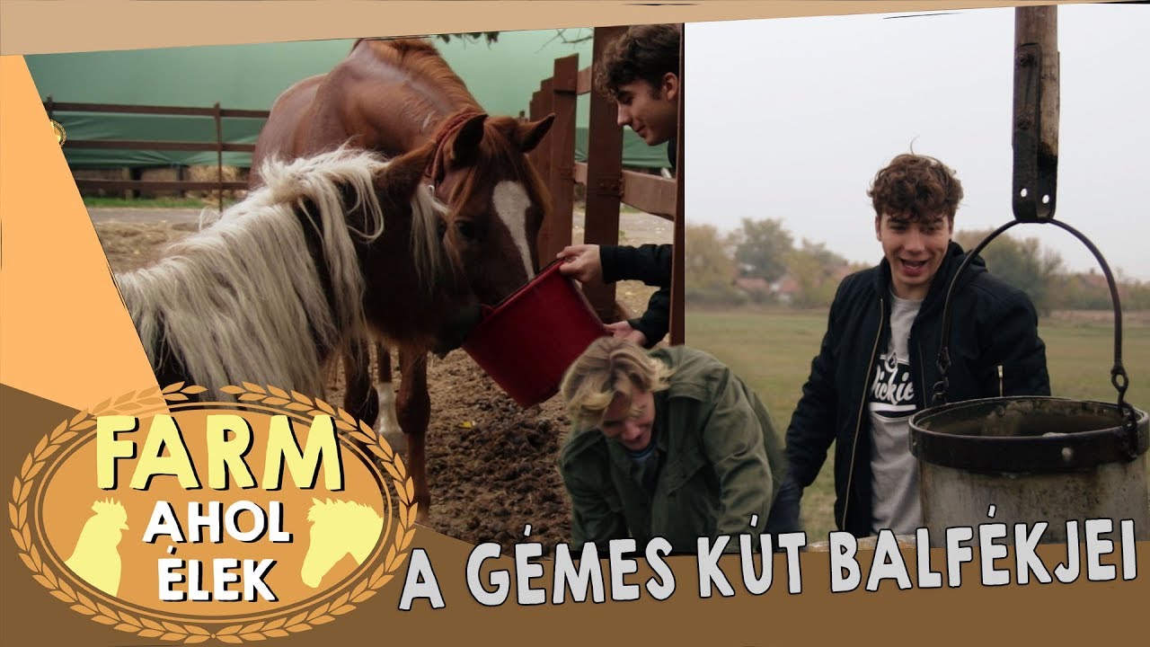 A GÉMES KÚT BALFÉKJEI /\ FARM, AHOL ÉLEK | 3/9 - YouTube
