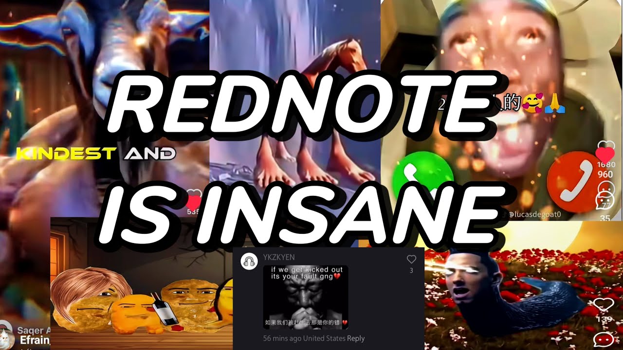 Rednote memes are INSANE - YouTube