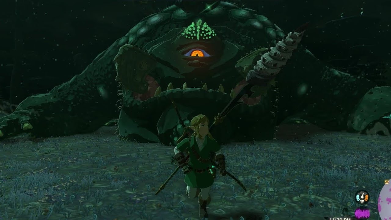 Tears of the Kingdom: Scourge of the Depths Frox - YouTube