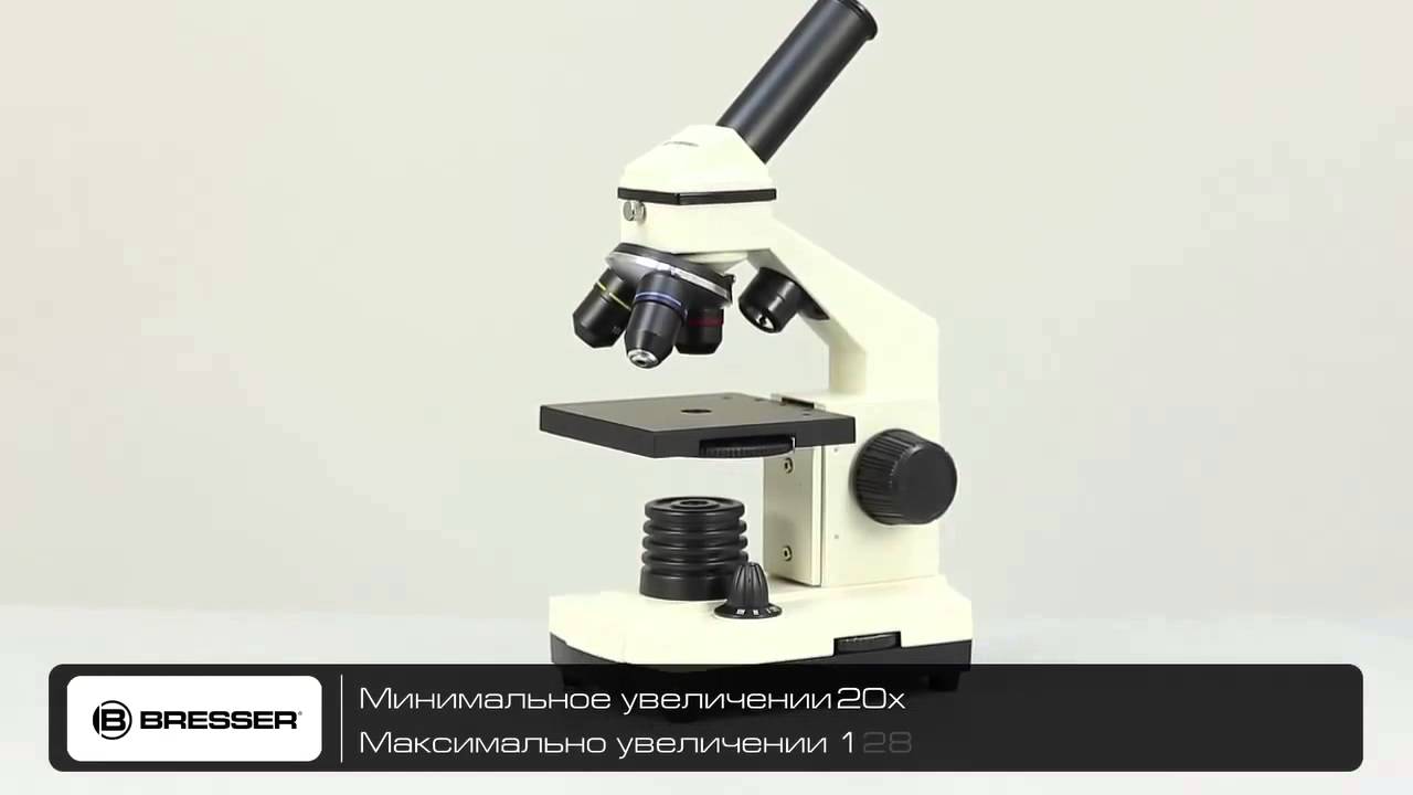 Микроскоп Bresser Biolux NV 20-1280x - YouTube