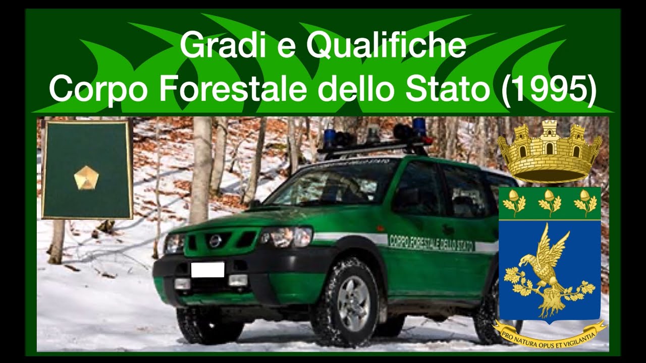 Gradi e Qualifiche Corpo Forestale dello Stato (1995) - YouTube