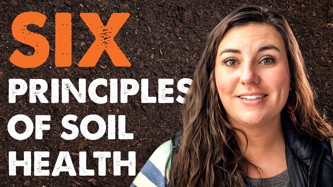 6 Principles of Soil Health - YouTube
