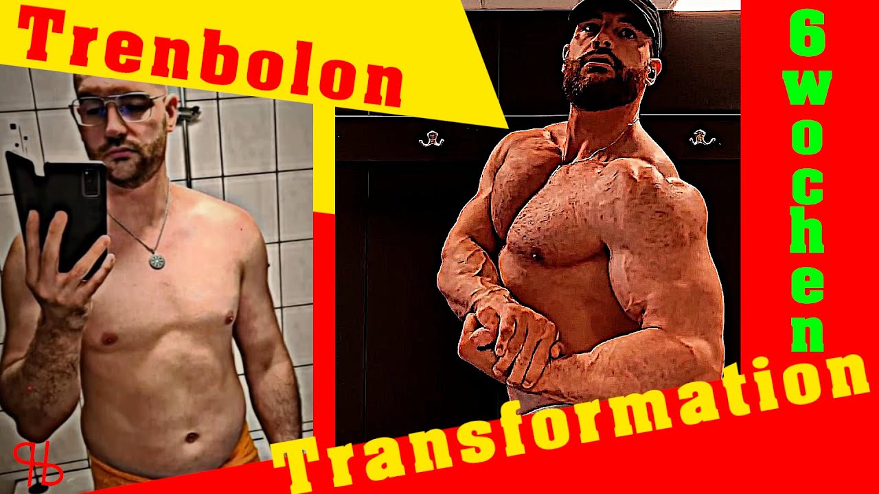 6 Wochen Trenbolon Transformation | Tren Erfahrung - YouTube