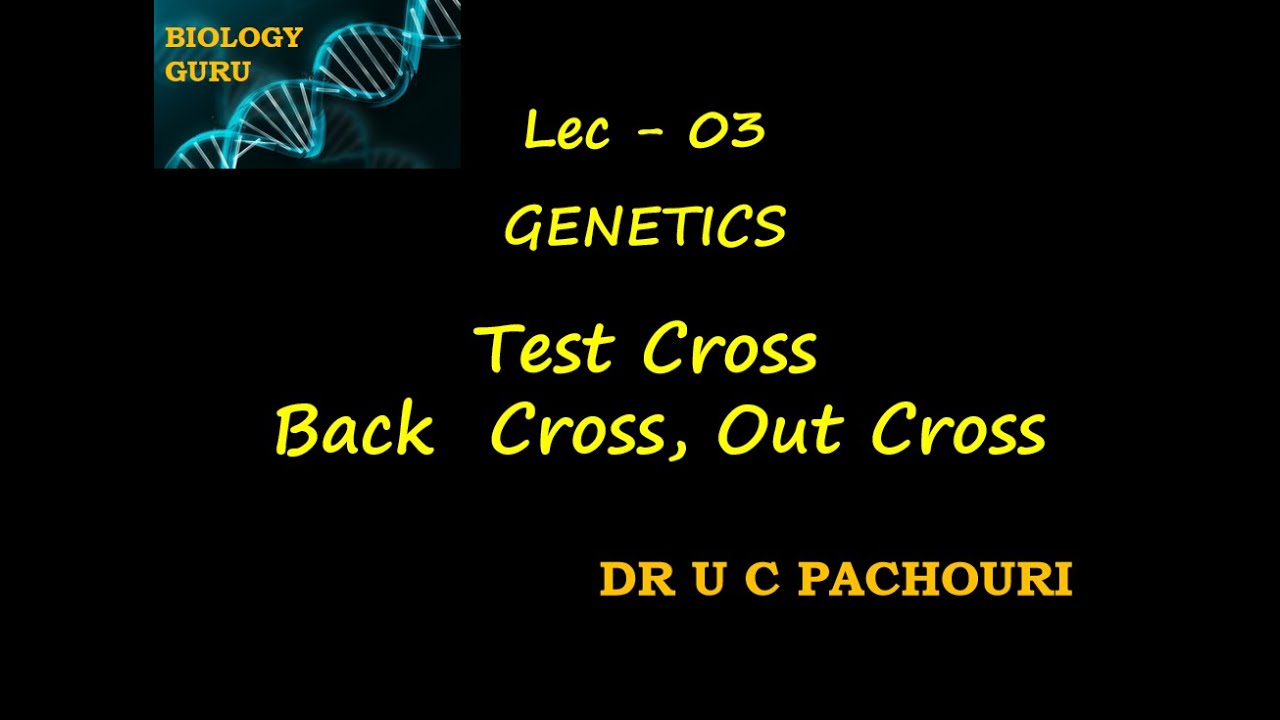 Lec - 3 |Test Cross, Back Cross,Out Cross |Genetics| Class 12 | Target ...