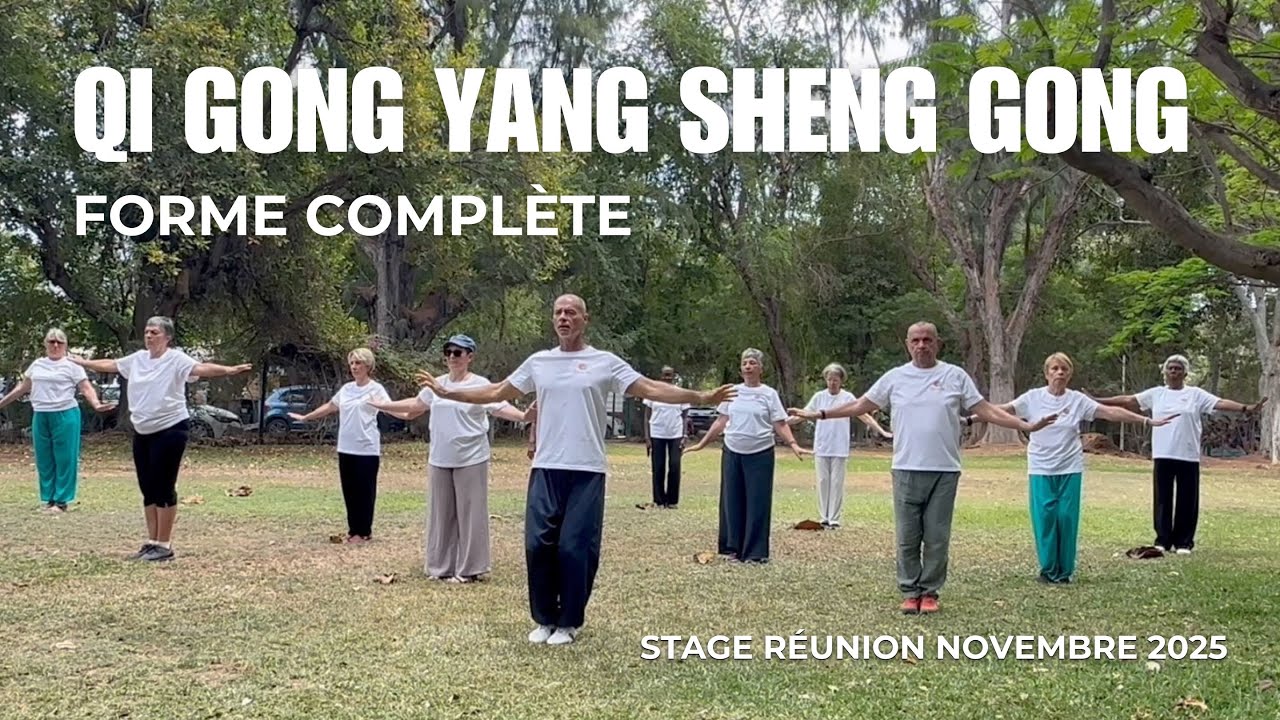 Qi Gong Yang Sheng Gong Shi Er Fa - forme complète - Stage novembre ...
