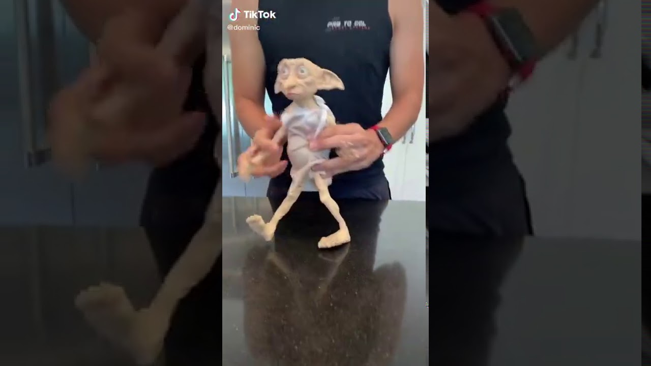 Dobby does wap dance - YouTube