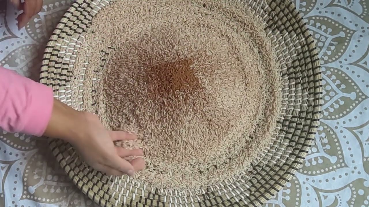 Rice and Cinnamon Alchemy for Wealth | Light Language | ASMR | Celestial Sounds | Councils of ...